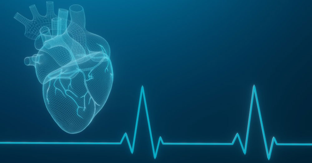 Kardiológiai vizsgálatok | Benyovszky Orvosi Központ